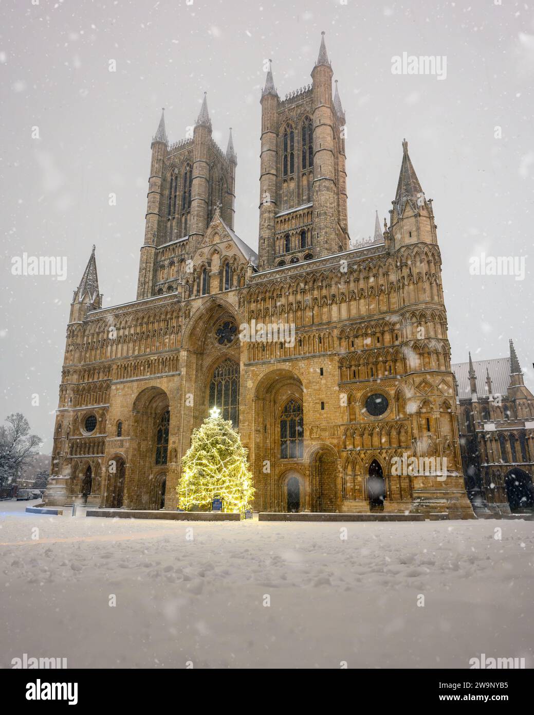 Lincoln Cathedral and St Barnabas Tree of life Stock Photo - Alamy