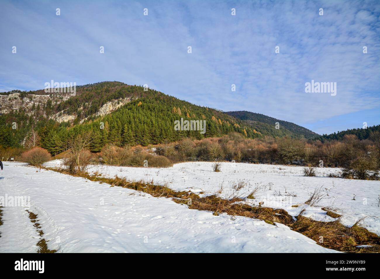 Winter in the Slovak Tatra Mountains full of snow Stock Photo - Alamy