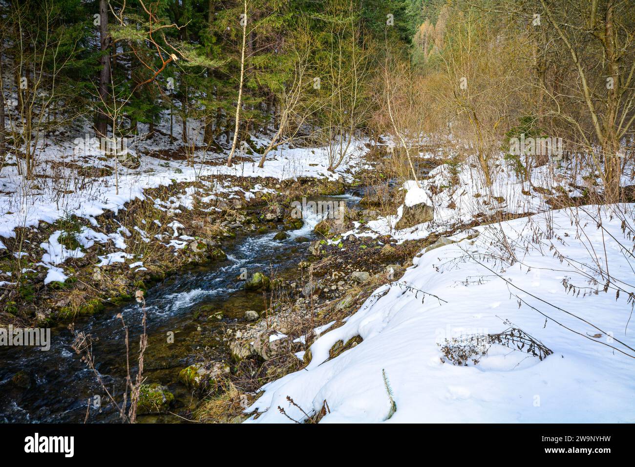 Winter in the Slovak Tatra Mountains full of snow Stock Photo - Alamy