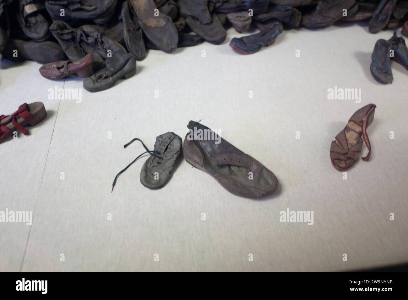 Shoes stolen from prisoners at Auschwitz and Birkenau concentration ...