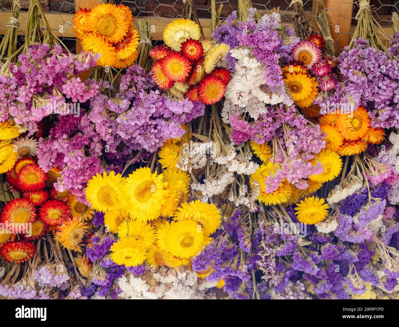 Dried flowers hanging hi-res stock photography and images - Alamy