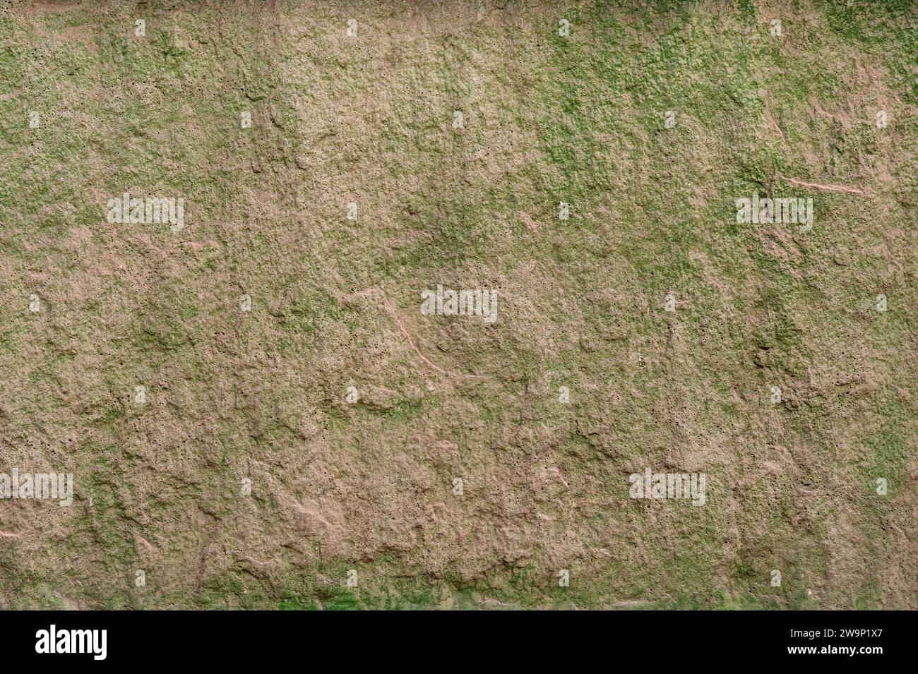 High-detail texture of green earth, perfect for natural and organic ...