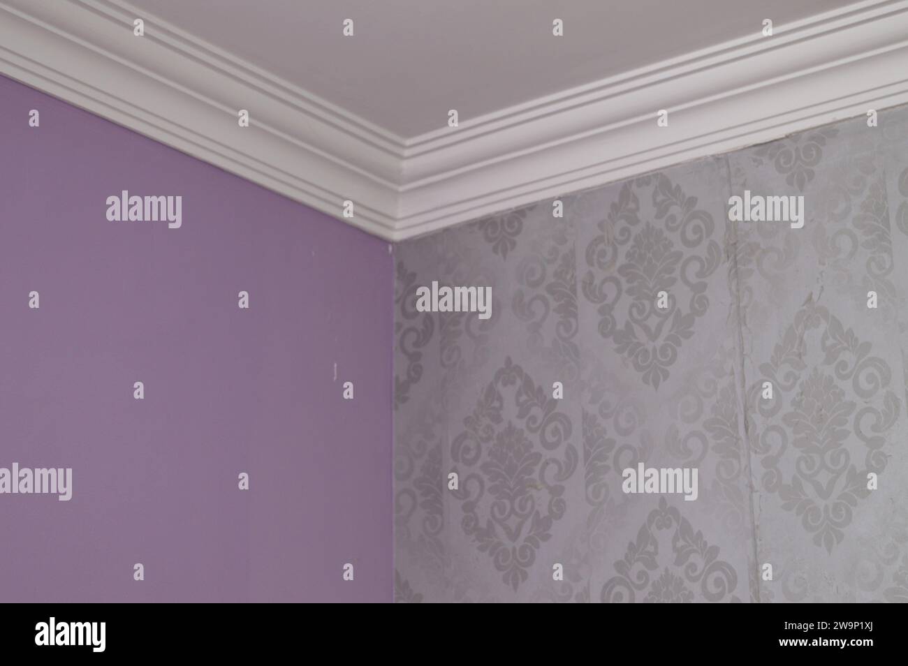 different wallpapers for two walls, wallpaper is a material used in ...