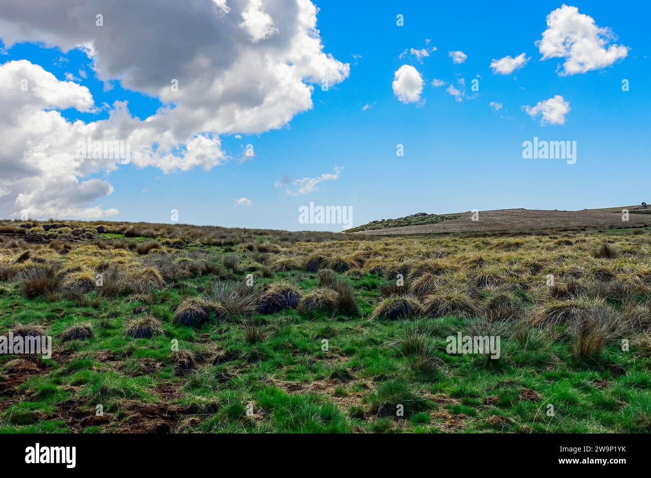 Expansive greenery hi-res stock photography and images - Alamy