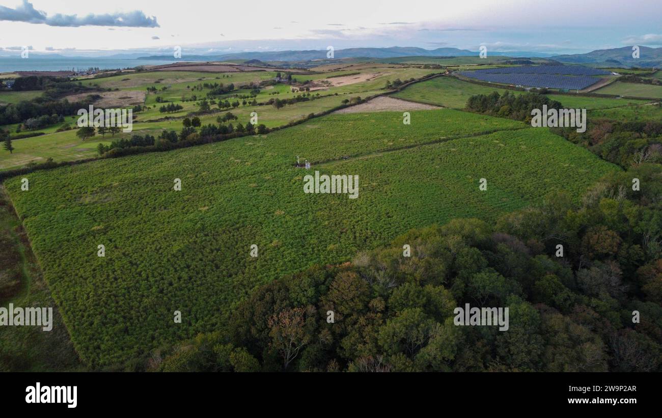 Welsh forest exploration hi-res stock photography and images - Alamy