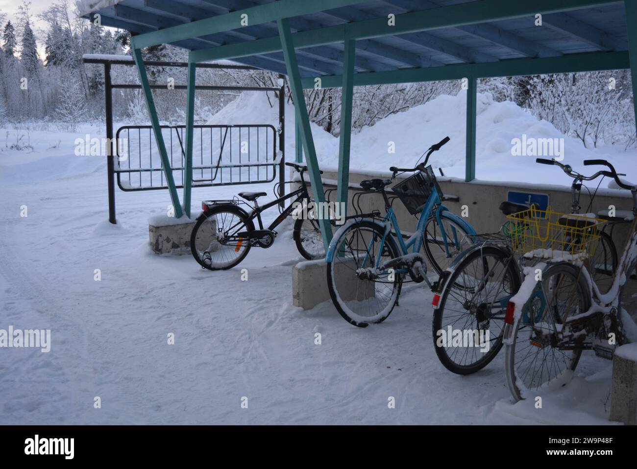 Bicycle parking, bicycles under a canopy with lots of snow in the city ...