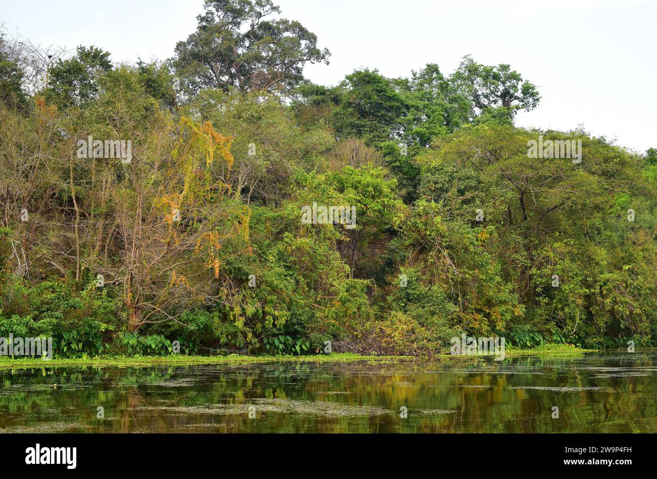Angkor canal hi-res stock photography and images - Alamy