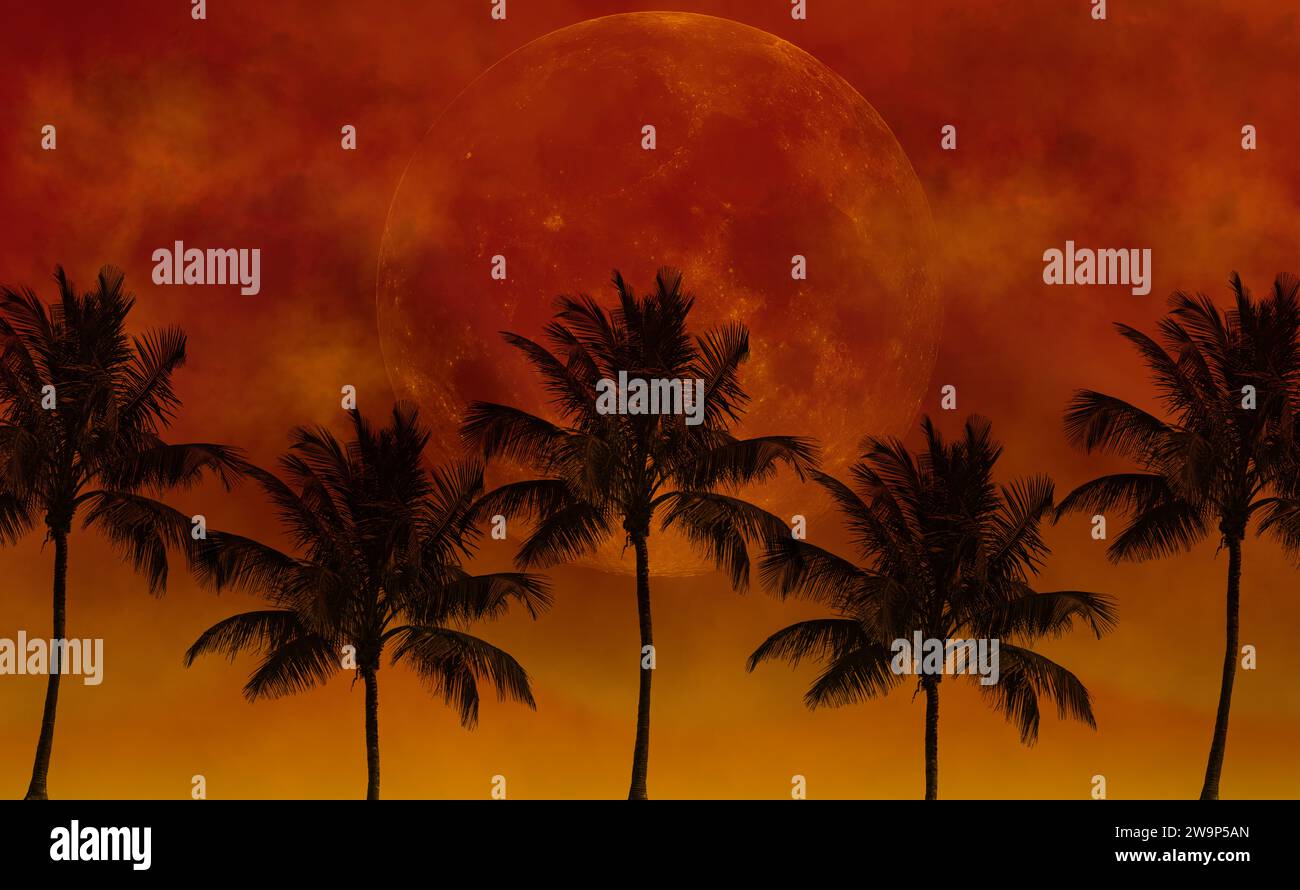 sunset background with coconut trees Stock Photo - Alamy