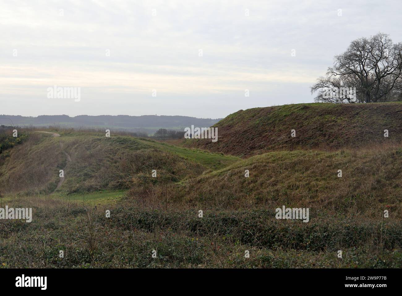 View of the iron age fort at Badbury Rings near Kingston Lacy, Dorset ...