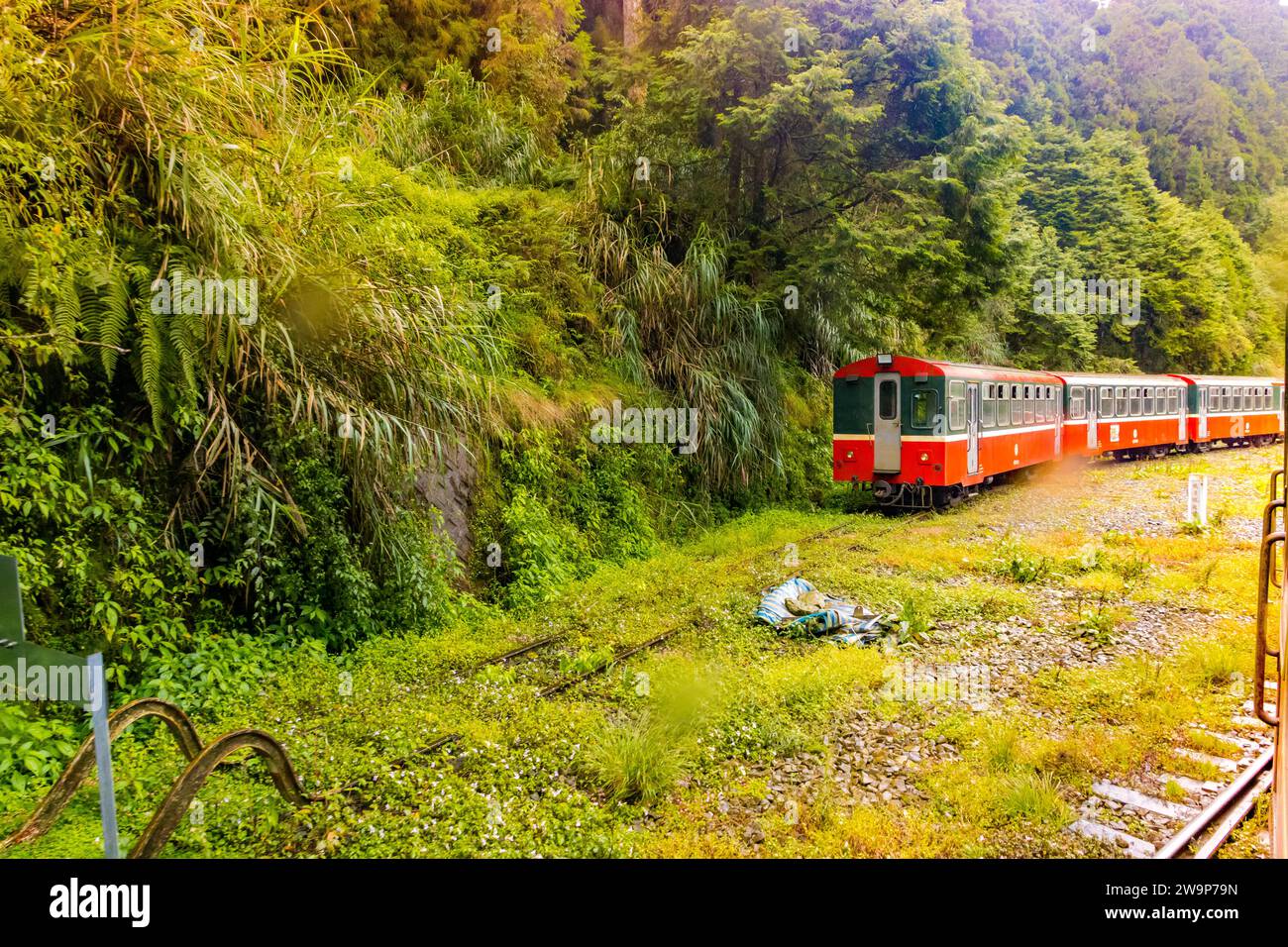 Vintage Red Train passing by green forest of Alishan National Forest ...