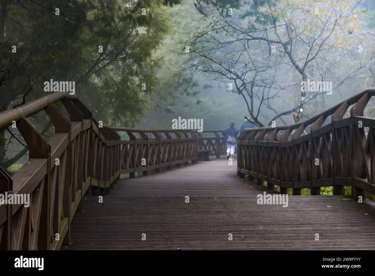 Alishan, Taiwan - October 08 2023 : Sights of Alishan National Forest ...