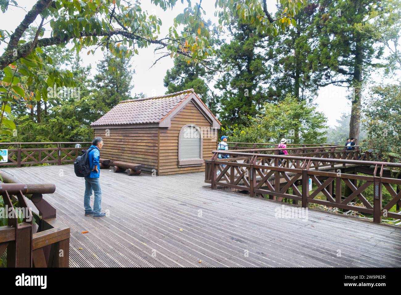 Alishan, Taiwan - October 08 2023 : Sights of Alishan National Forest ...