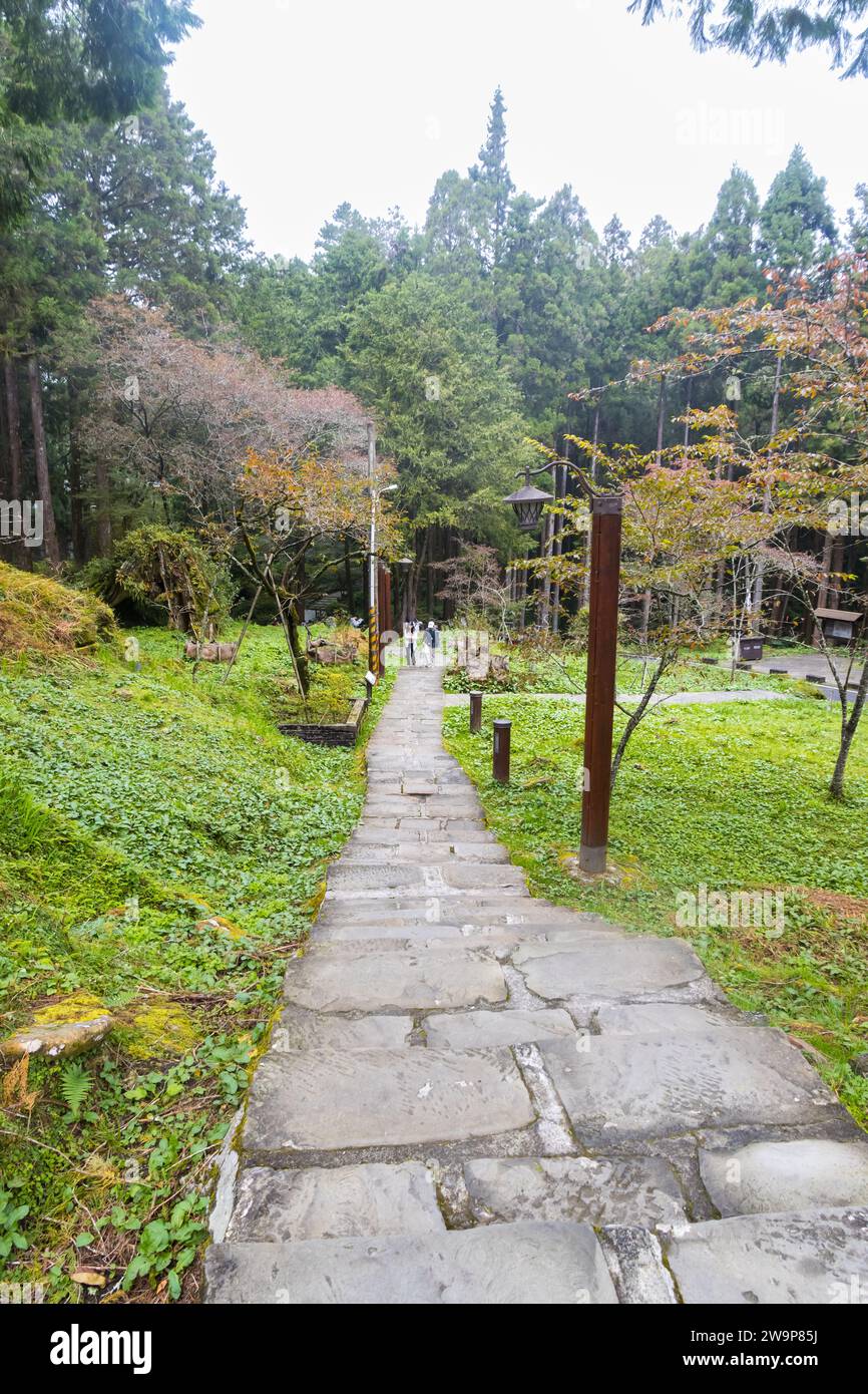 Alishan, Taiwan - October 08 2023 : Sights of Alishan National Forest ...