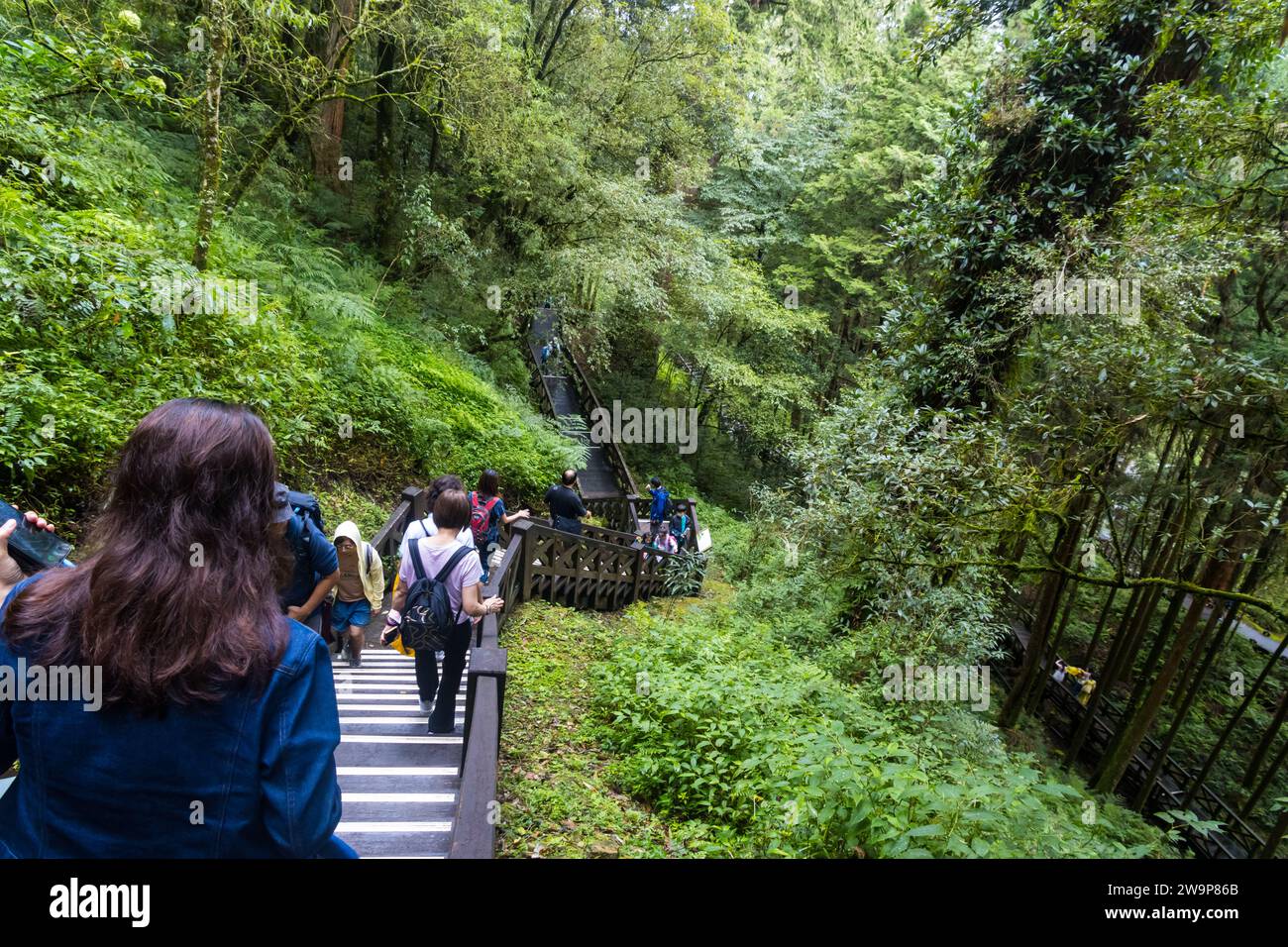 Alishan, Taiwan - October 08 2023 : Sights of Alishan National Forest ...