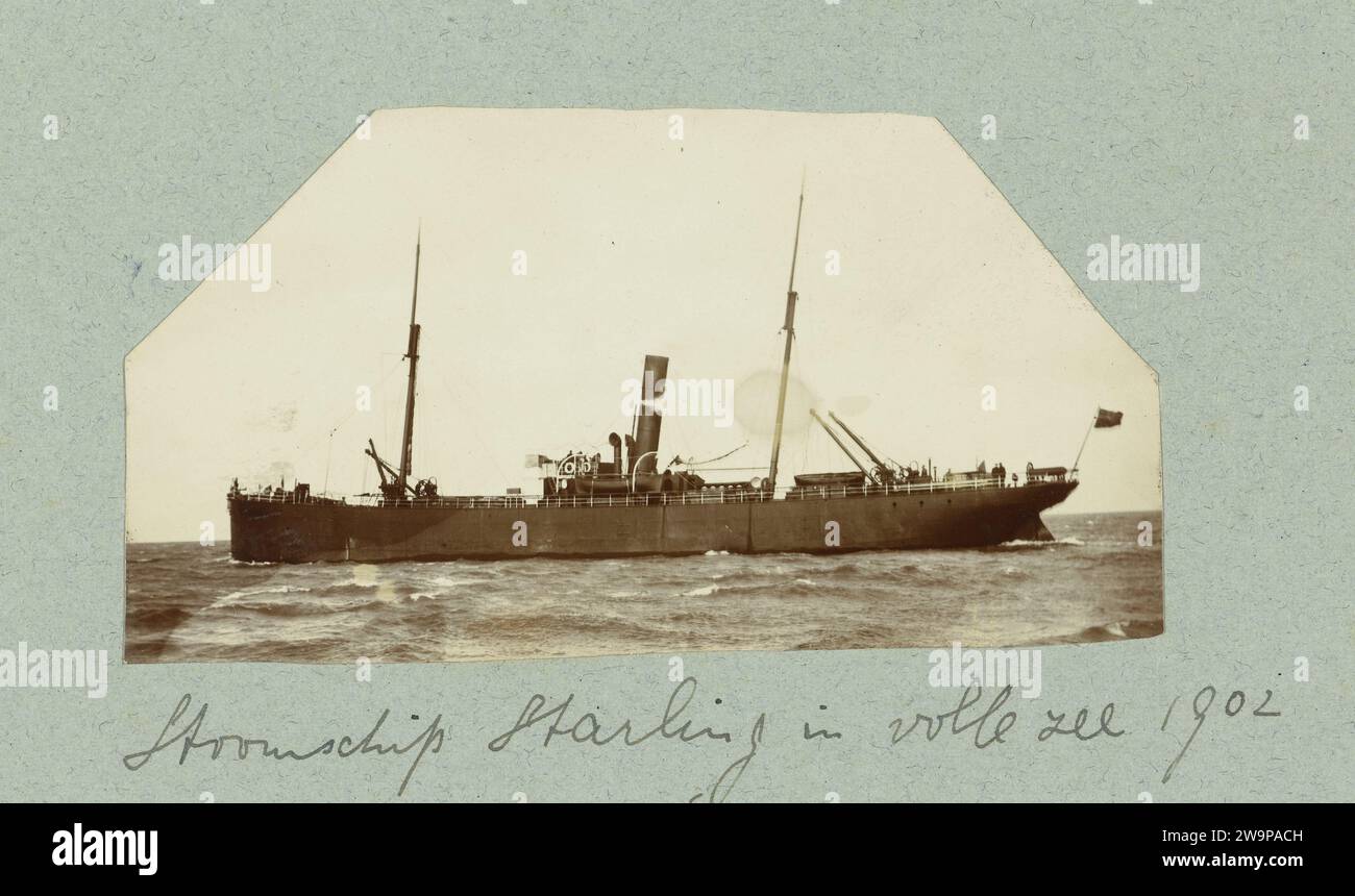 Steamship starling hi-res stock photography and images - Alamy