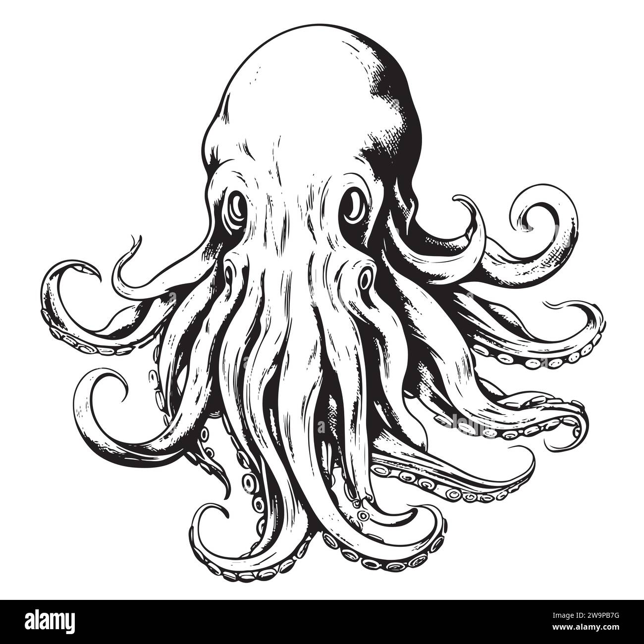 Sea octopus. Engraved hand drawn in old sketch, vintage creature ...