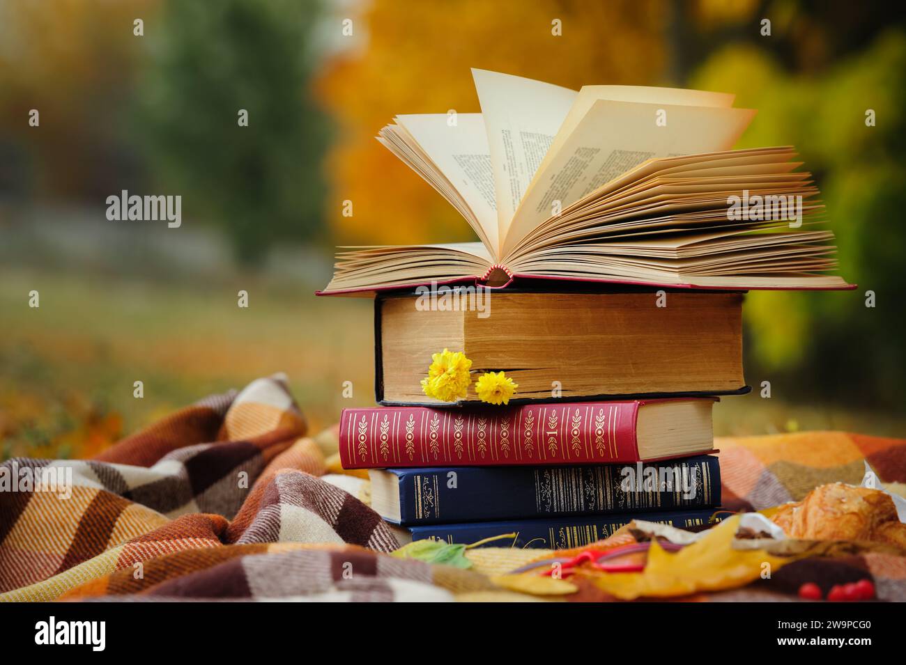 Romantic autumn still life with stacked books, plaid, croissant and ...
