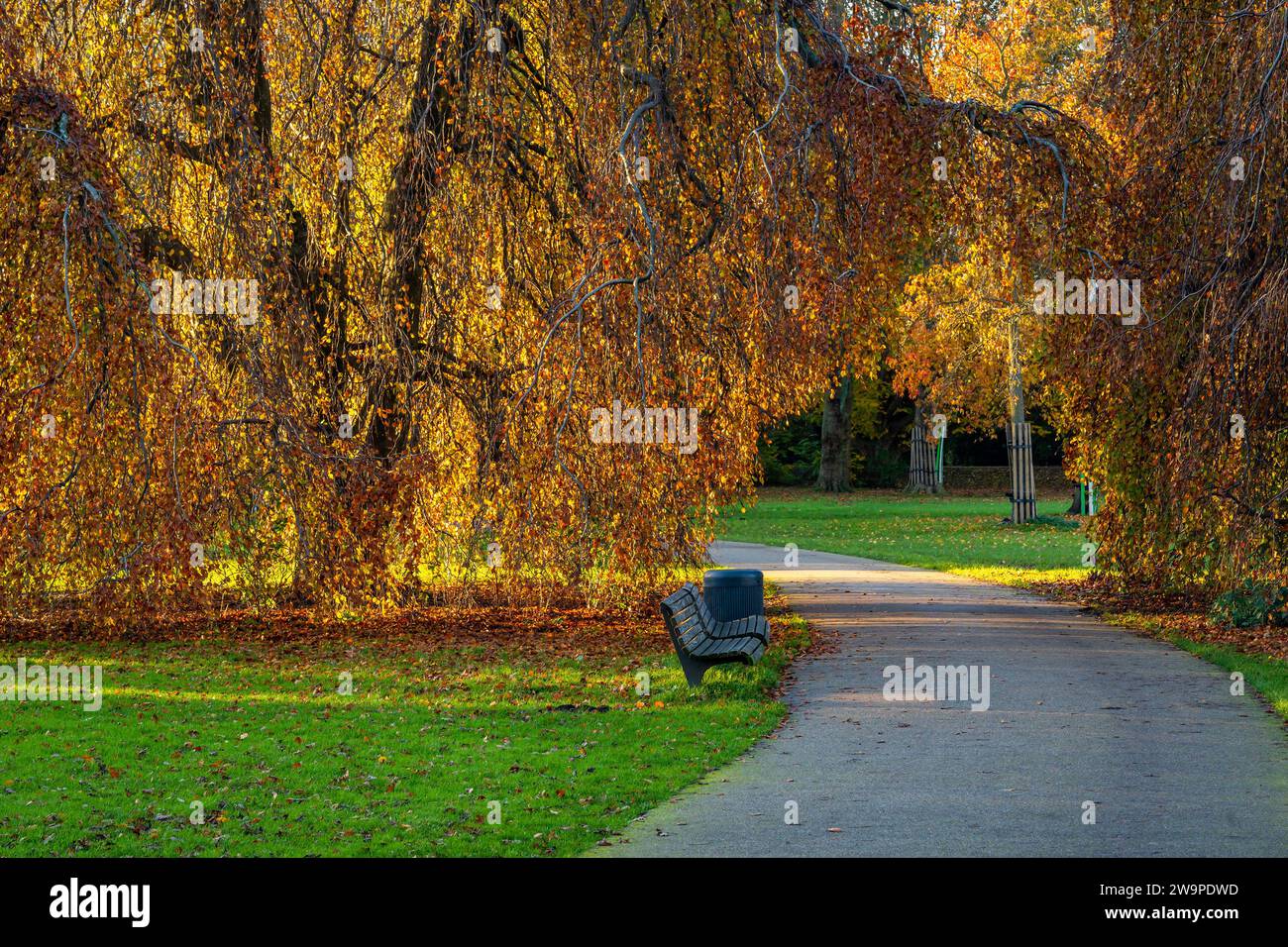 Beatrixpark in the autumn, city park located in the Zuidas district of ...