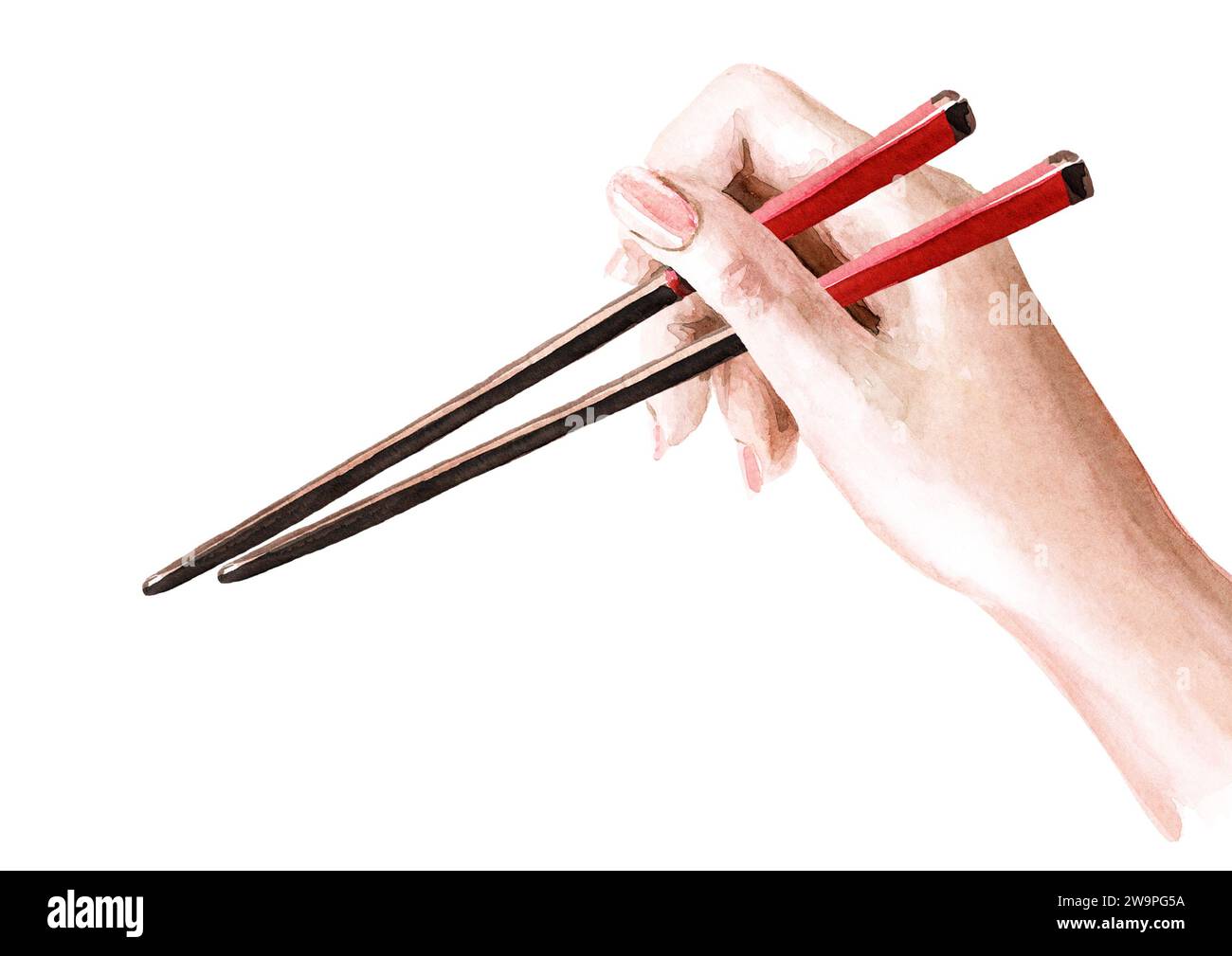 Hand Holding Wooden Chopsticks. Hand drawn watercolor illustration ...