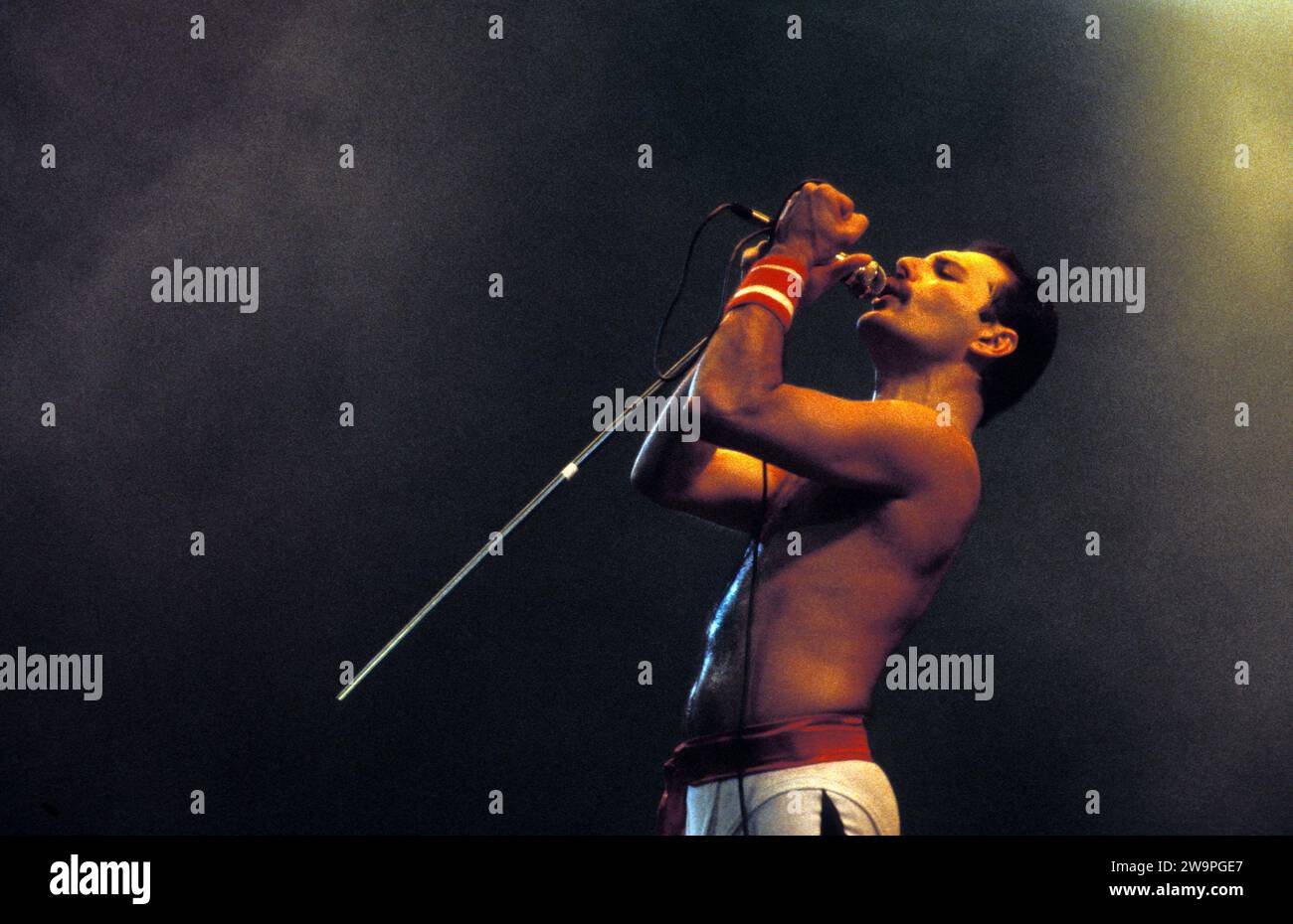 THE LATE FREDDY MERCURY OF 'QUEEN' DURING A 1986 WEMBLEY CONCERT LONDON ...