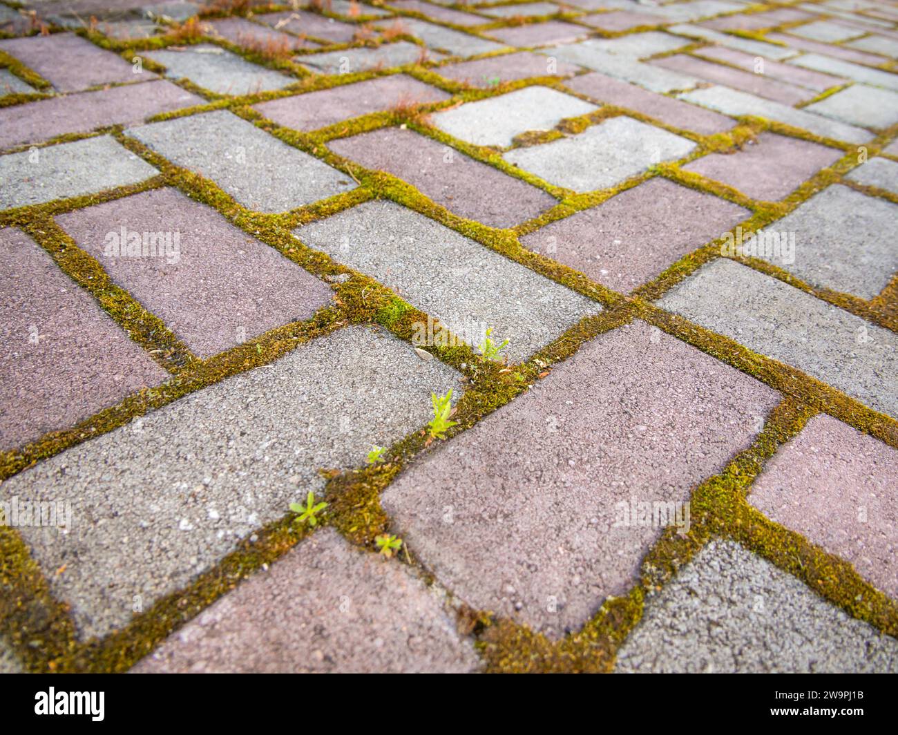 Brick walkway overgrown grass hi-res stock photography and images - Alamy