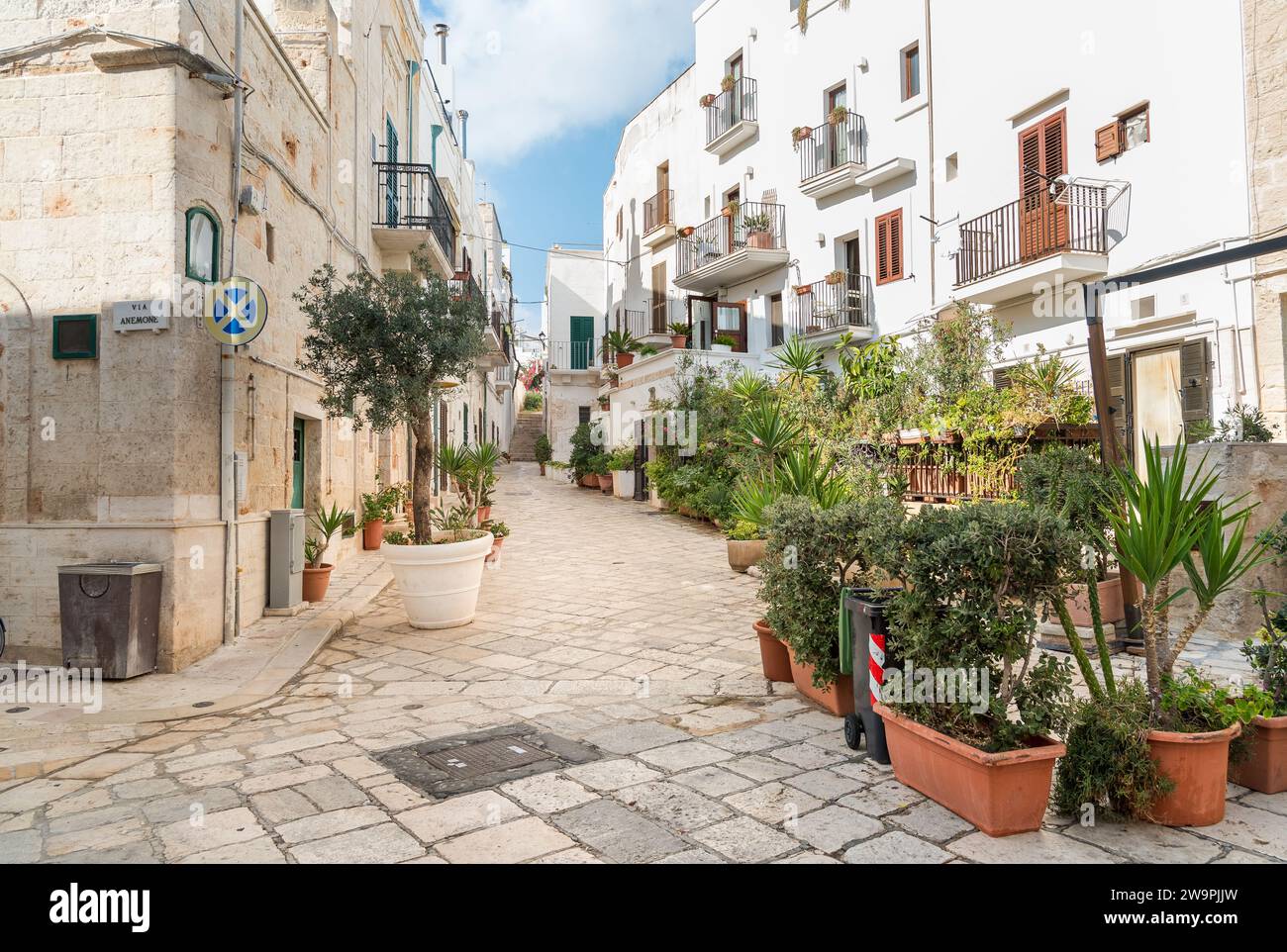 Narrow street with bars and restaurants in the center of the Polignano ...