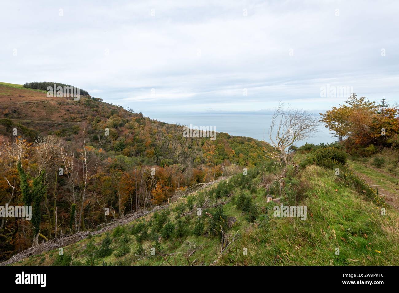 Photo of the autumn colours at Glenthorne in Exmoor National Park Stock ...