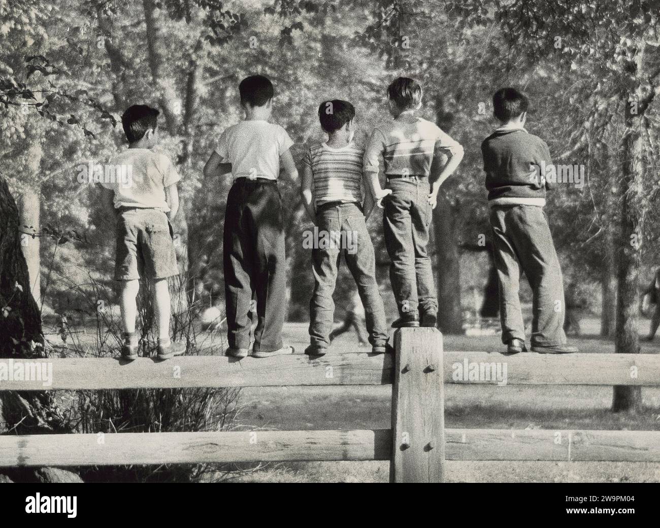 Rear view of five young boys standing on park fence, New York City, New ...