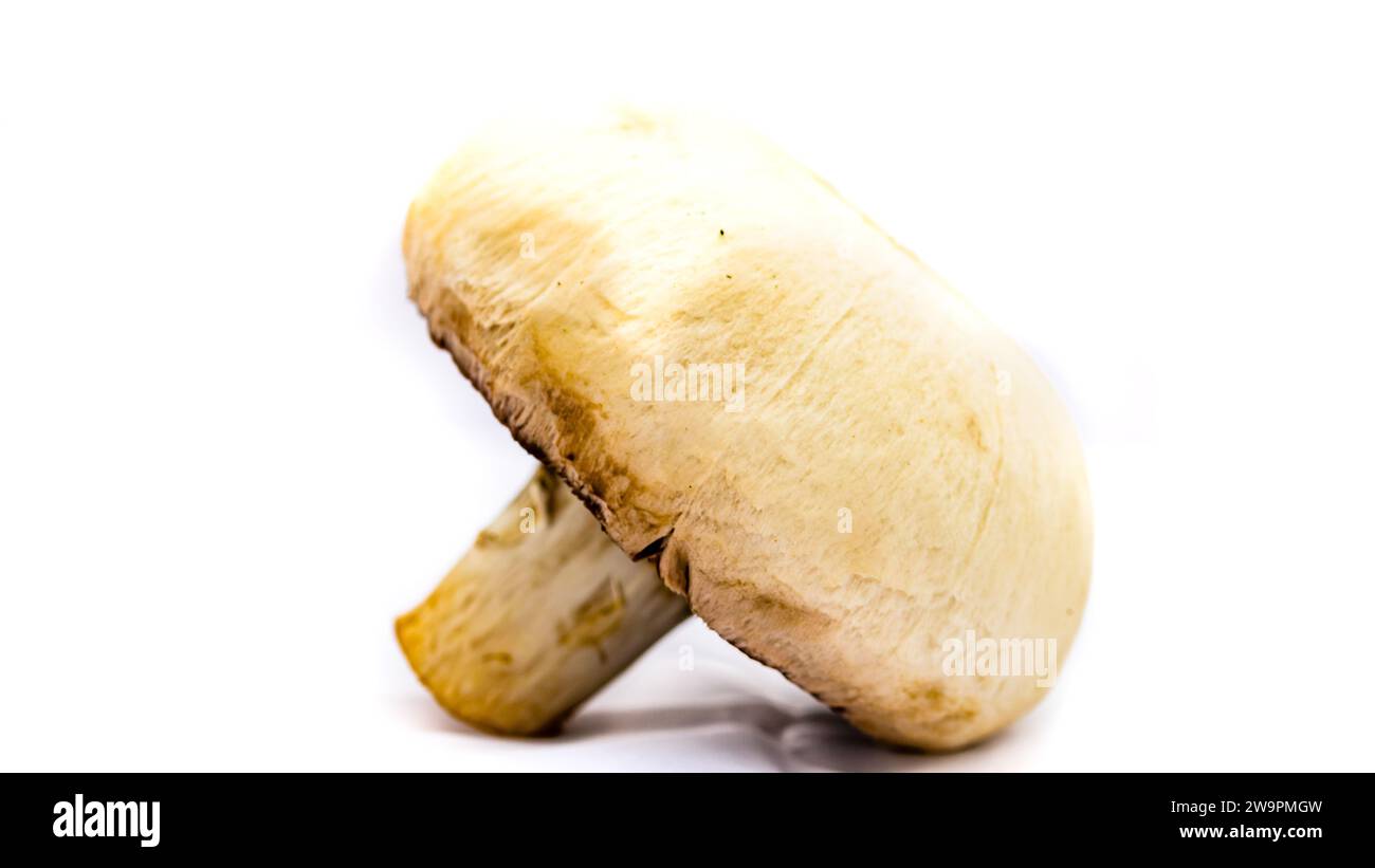 Fresh champignons, champignon mushrooms, close-up, isolated Stock Photo ...