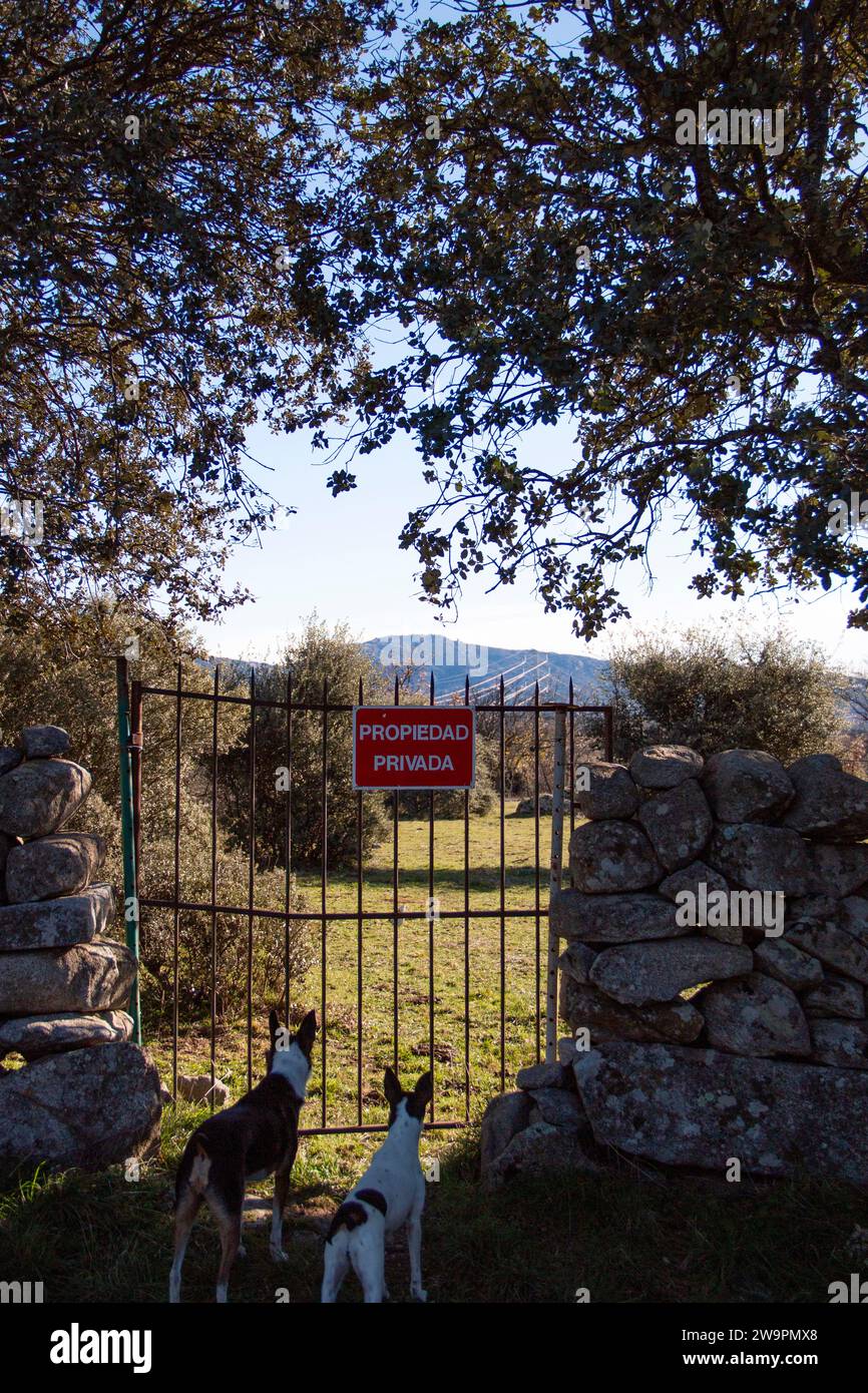 Translation: Private property. Iron bar gate on a dry stone fence that ...