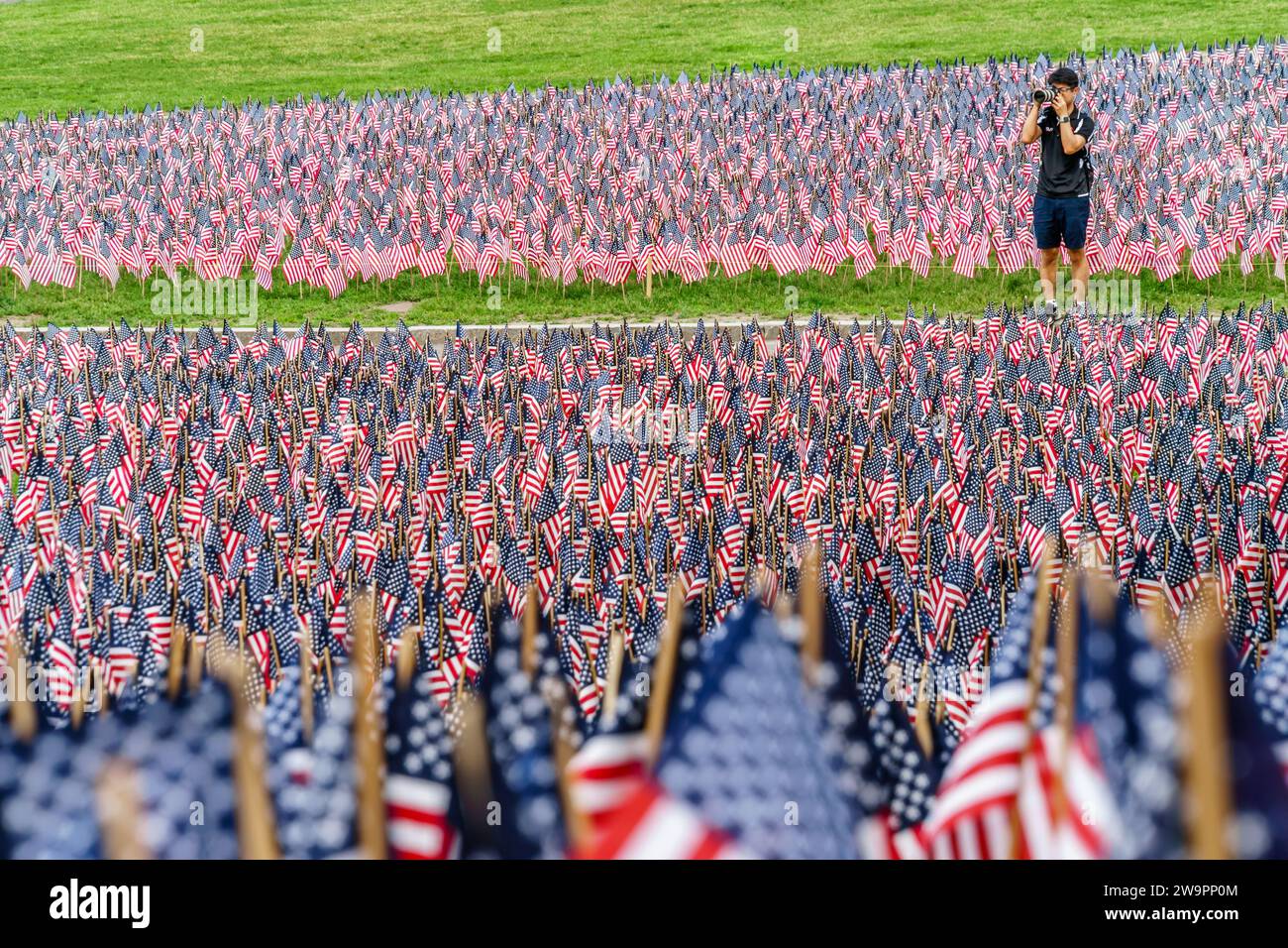 Tourist photographing field of US flags in public park honoring war ...