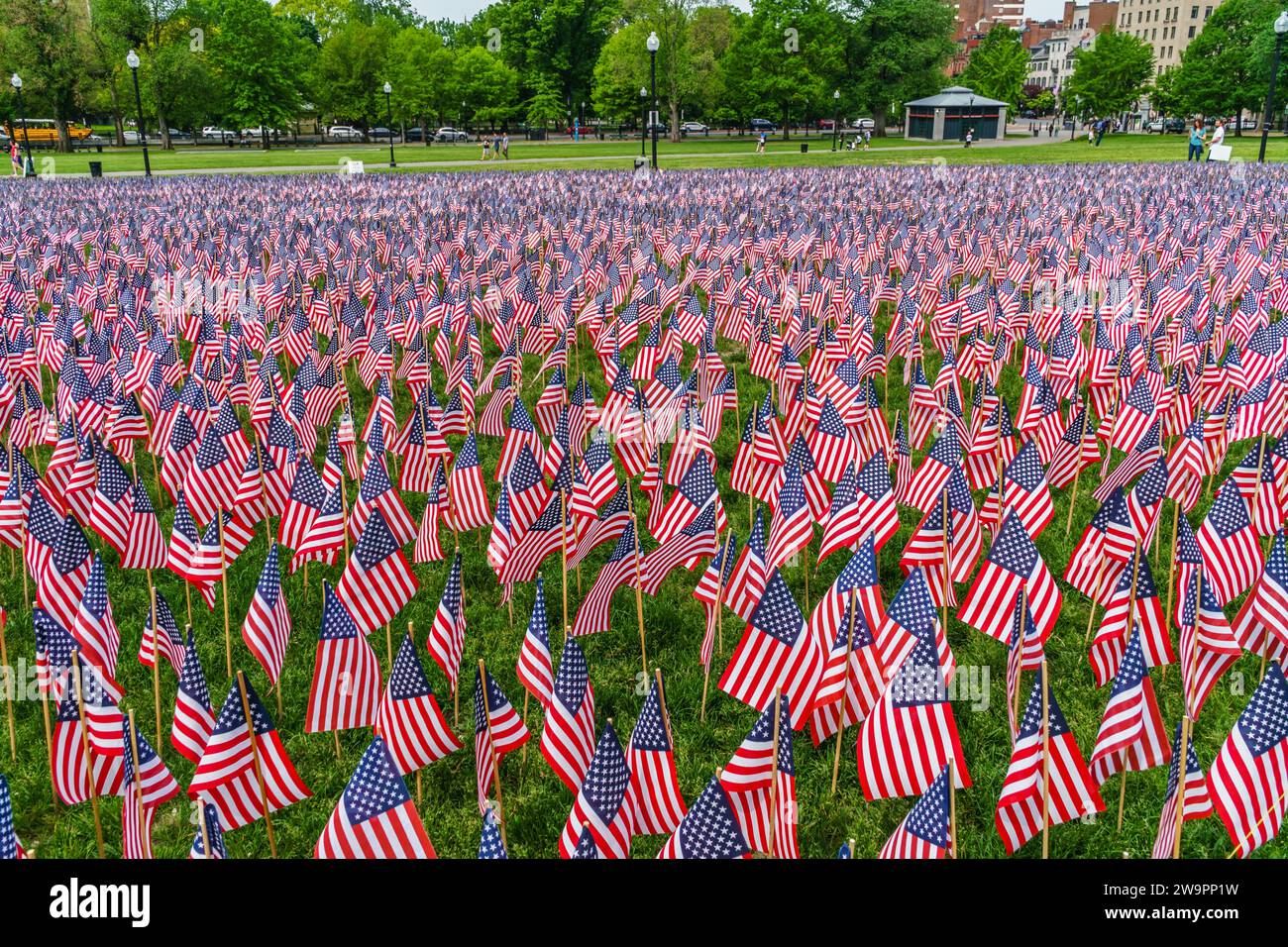 Field of american flags hi-res stock photography and images - Alamy