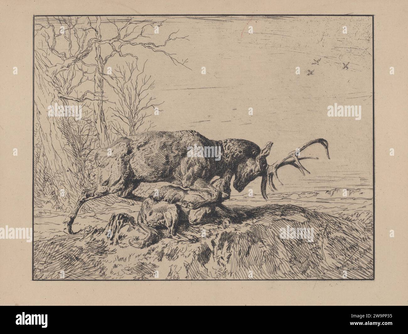 Stag Fighting a Wolf, after Antoine Louis Barye 1963 by Antoine-Louis ...