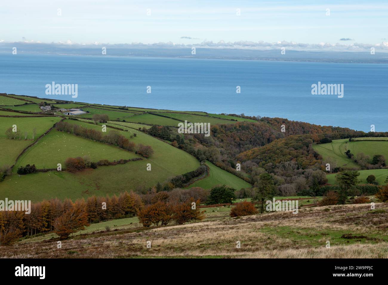 Landscape photo of the autumn colours on Porlock Common at the top of ...