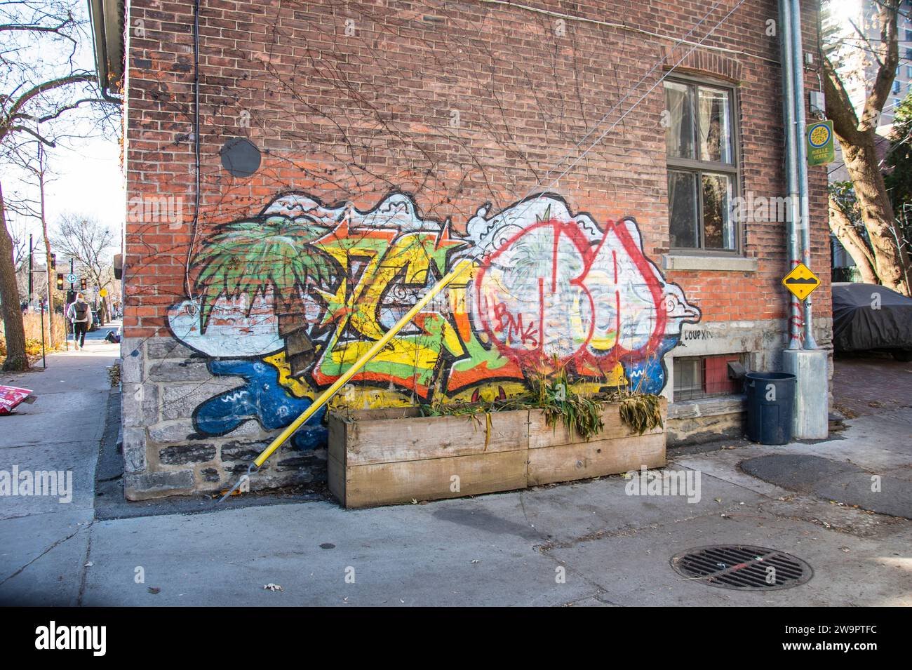 Palm tree graffiti in downtown Montreal, Quebec, Canada Stock Photo - Alamy