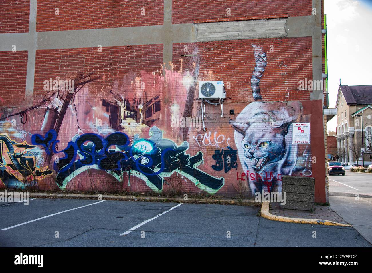 Angry cat mural in downtown Montreal, Quebec, Canada Stock Photo - Alamy