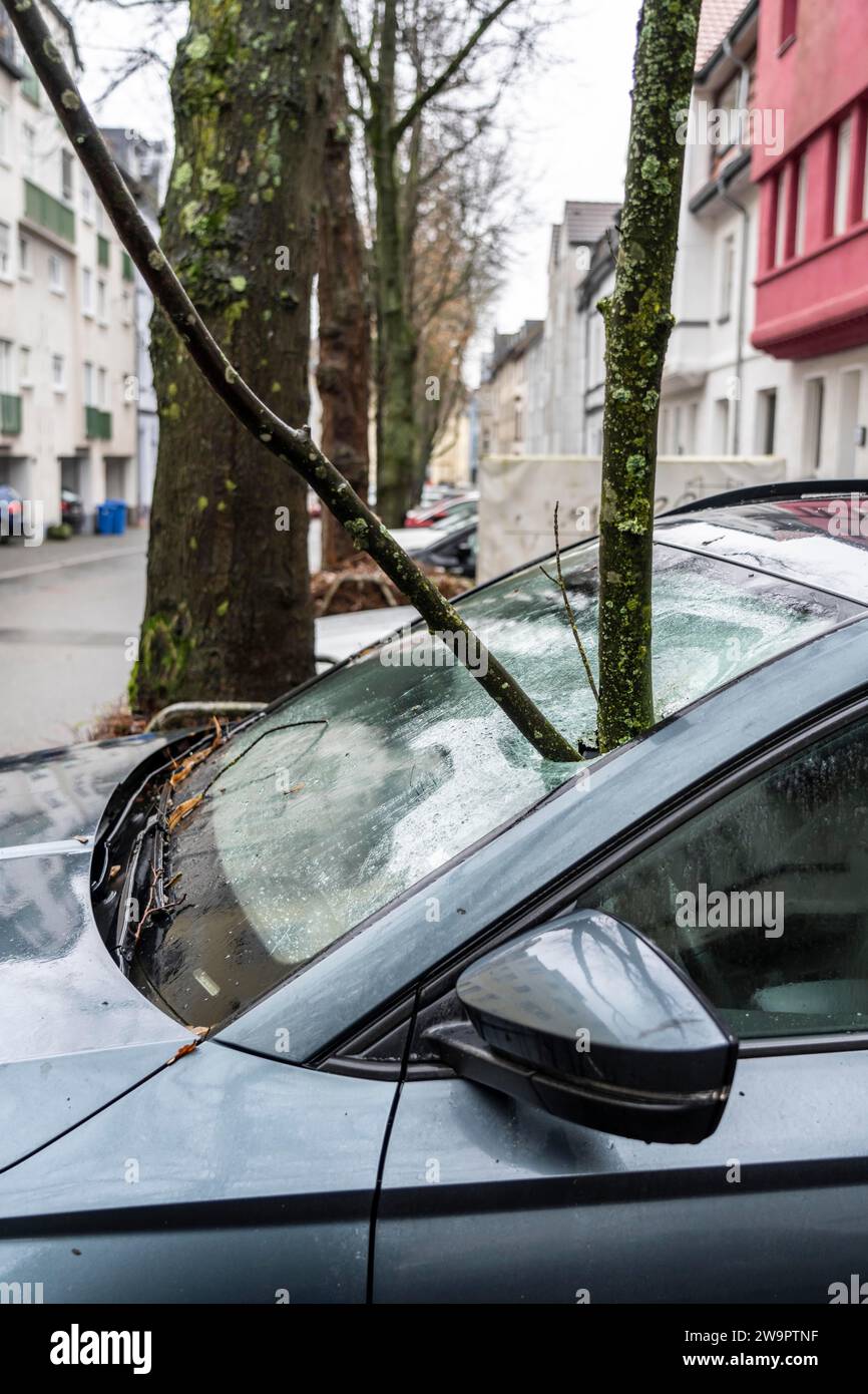 Through the windscreen hi-res stock photography and images - Alamy