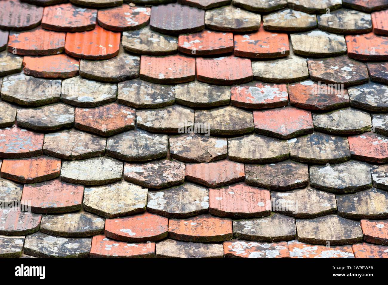 Historical roof tiles, building, roof, texture, old, patina ...