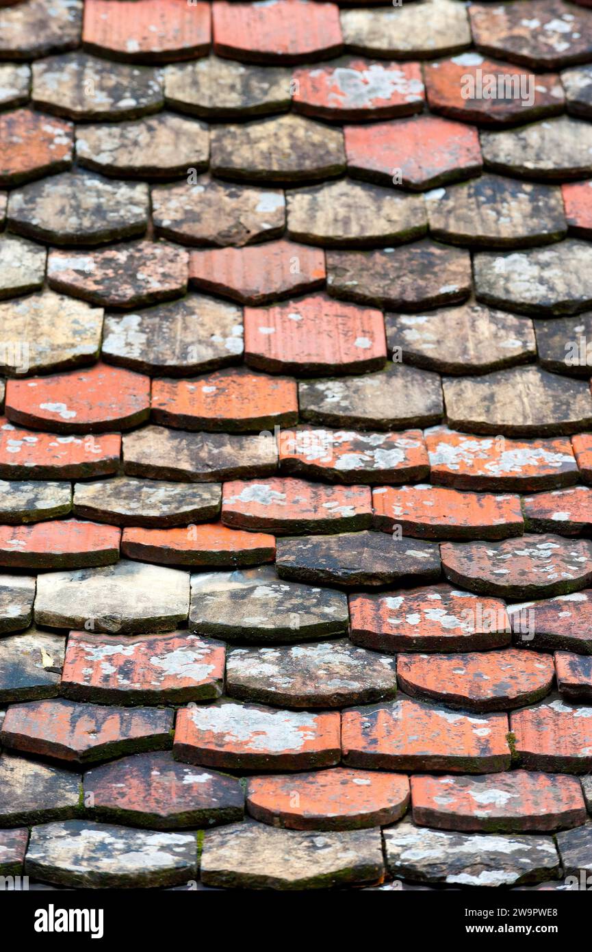 Historical roof tiles, building, roof, texture, old, patina ... Historical roof tiles, building, roof, texture, old, patina ...