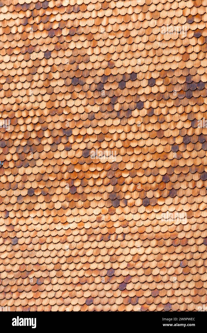 Historical roof tiles, plain tile, building, roof, texture, old, patina ... Historical roof tiles, plain tile, building, roof, texture, old, patina ...