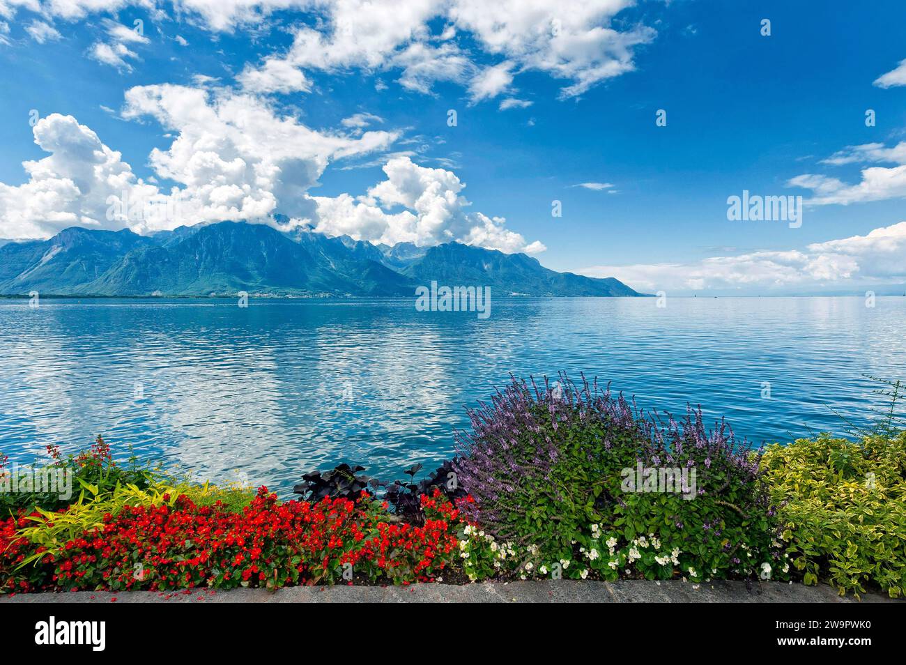 Lake Geneva lakeside promenade, lac leman, with a view of the French ...