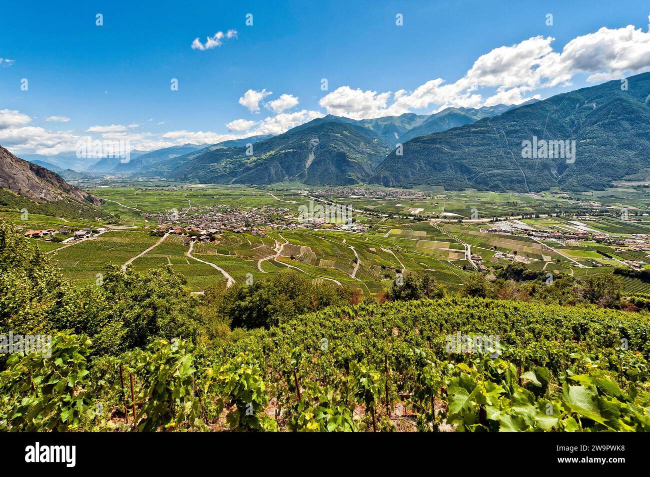Valais wine region switzerland hi-res stock photography and images - Alamy