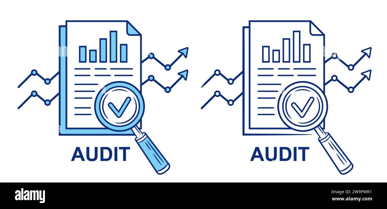 Financial audit control review, finance accounting analysis, auditor ... Financial audit control review, finance accounting analysis, auditor ...