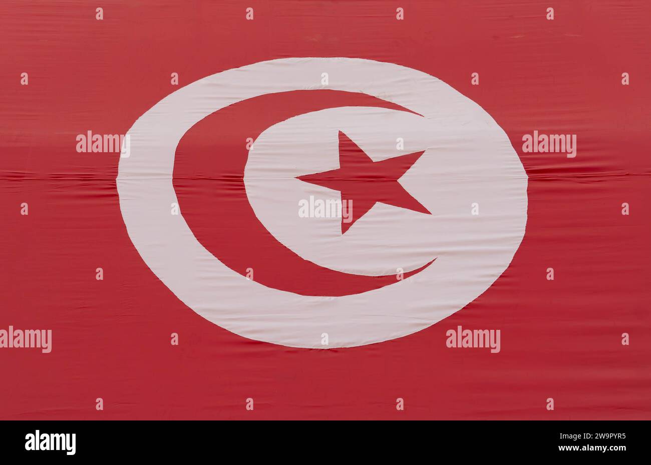The Flag of Tunisia banner, with red Star and crescent on the red ...
