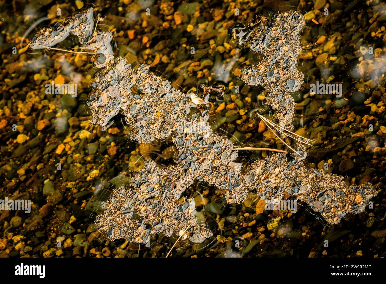 Small stones floating on the surface of calm water, held up by surface ...