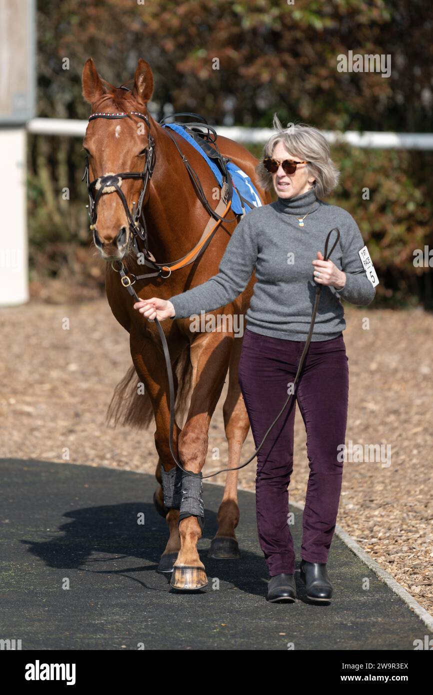 Forget You Not being led up before start of the first race at Wincanton ...