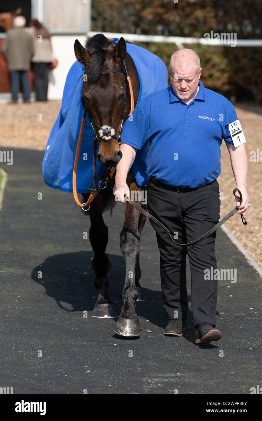 Ambion Hill, runner-up at Wincanton March 21st 2022 Stock Photo - Alamy