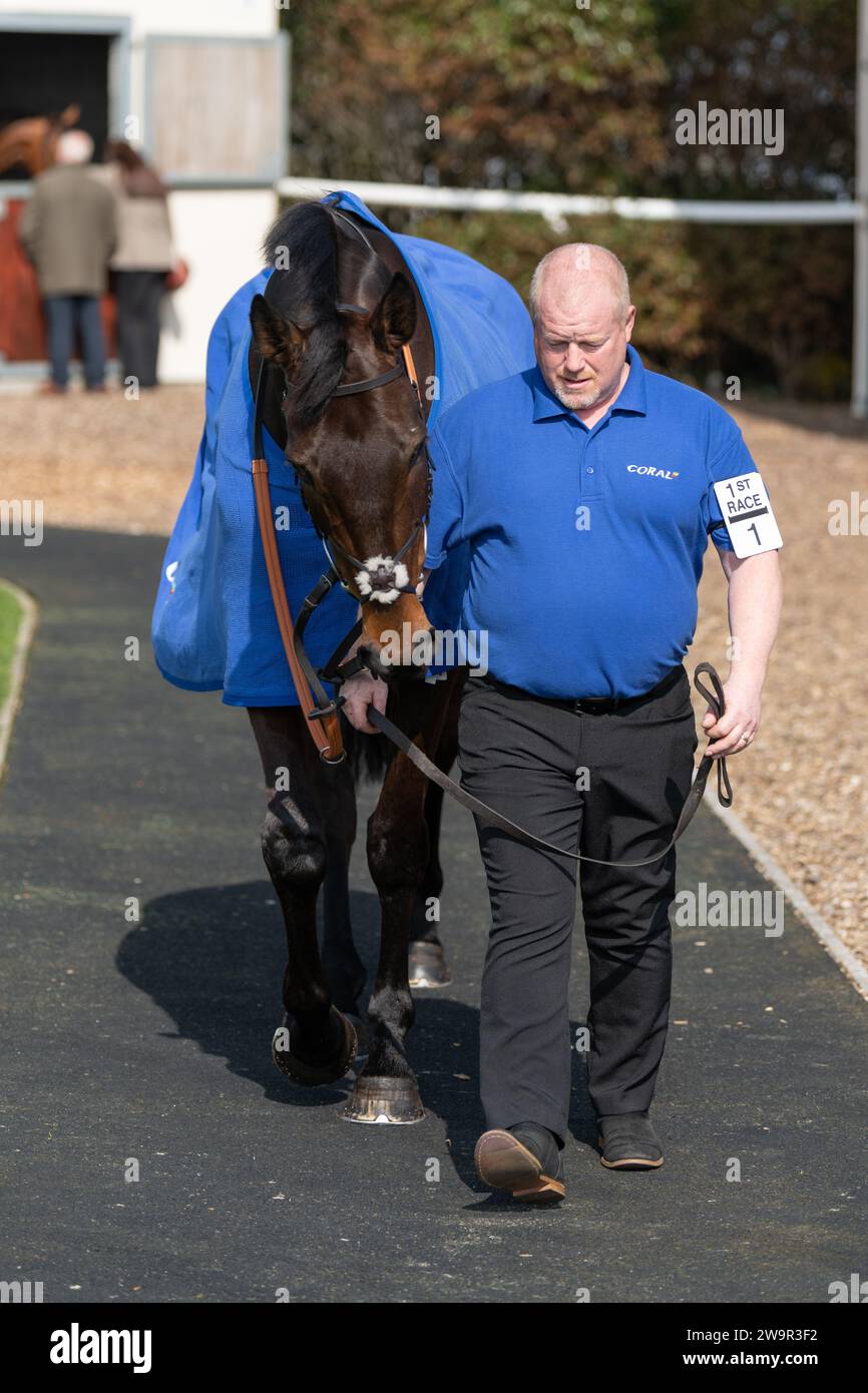 Ambion Hill, runner-up at Wincanton March 21st 2022 Stock Photo - Alamy