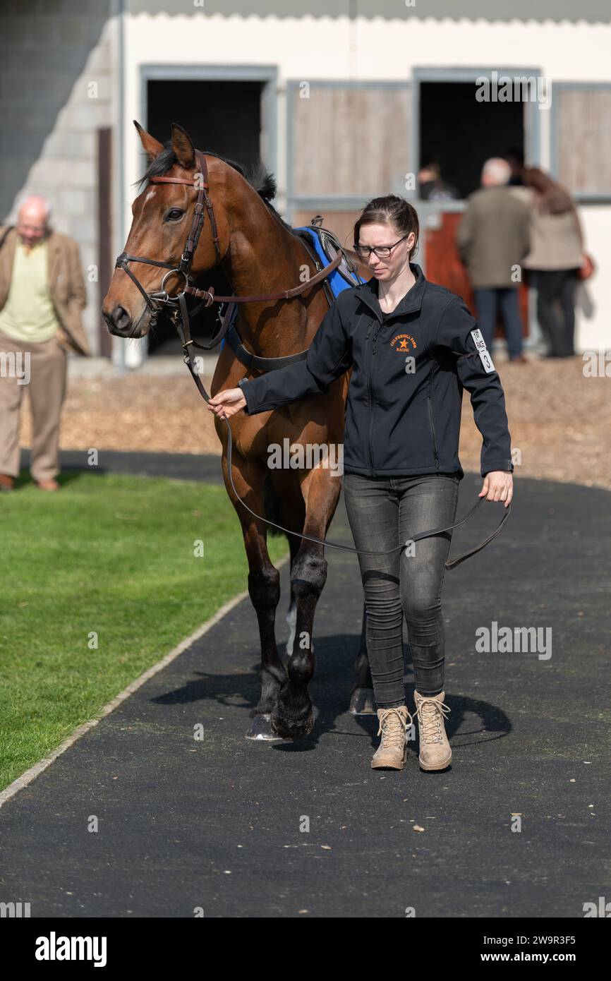 Jane williams trained folly gate hi-res stock photography and images ...