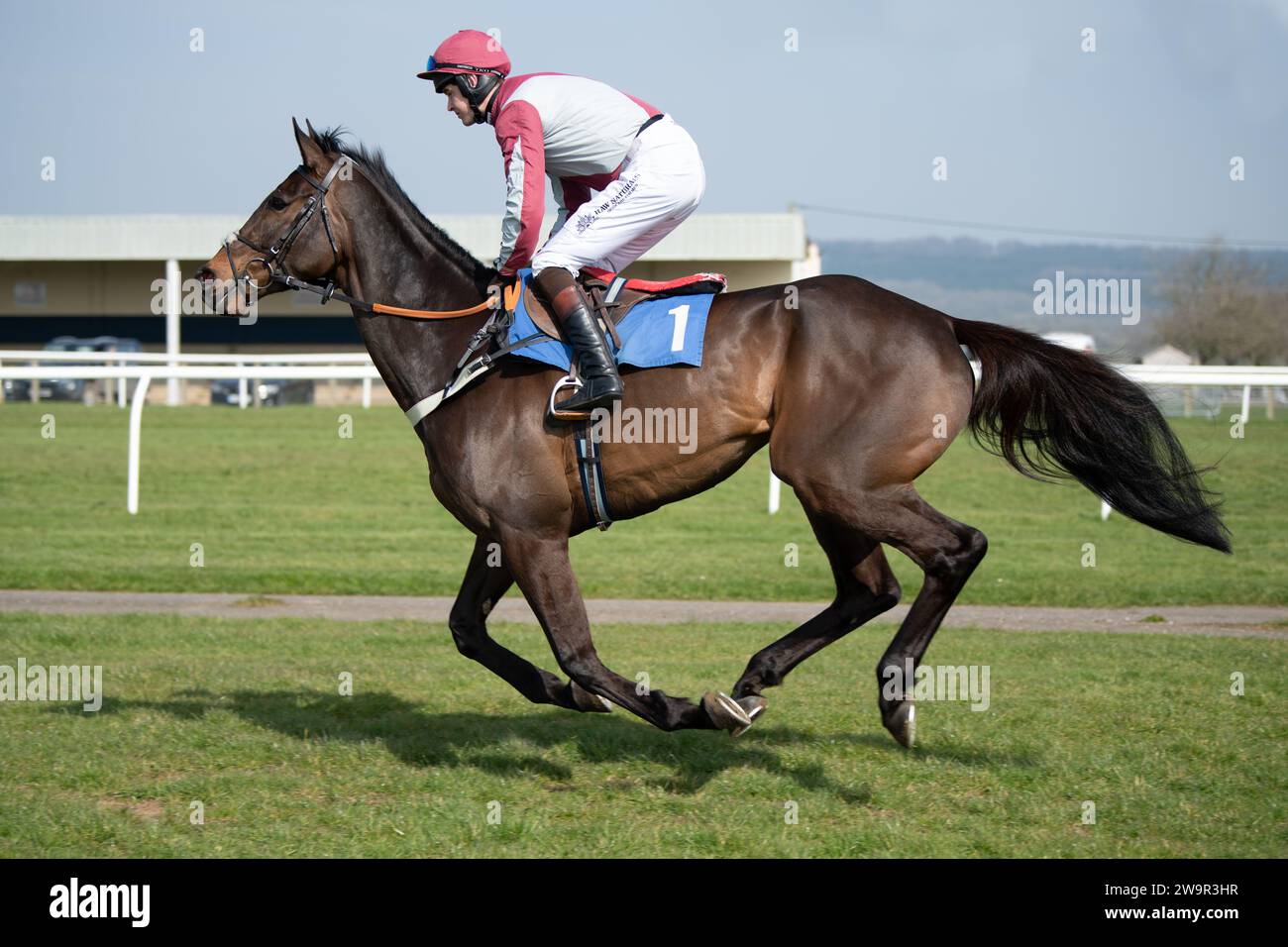 Tizzard horses running at wincanton hi-res stock photography and images ...